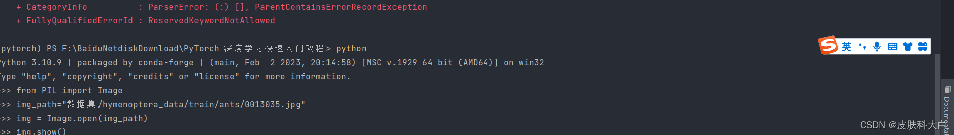 variable Explorer Pycharm show Variables pycharm variable-explorer-pycharm-show-variables-pycharm