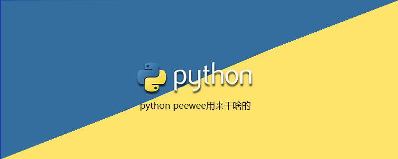 python peewee用来干啥的_peewee sqlalchemy-CSDN博客