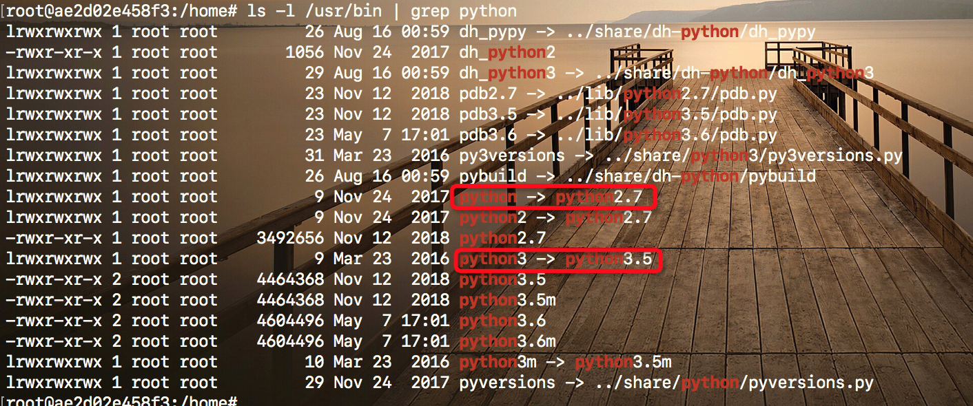 ubuntu新环境安装python_couldn't find any package by glob 'python3.9-CSDN博客