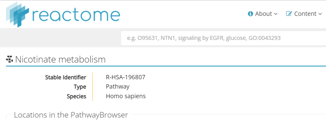 整理NAD+代谢相关基因-CSDN博客