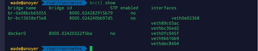 Docker网络虚拟化 -- Bridge模式_docker bridge-CSDN博客