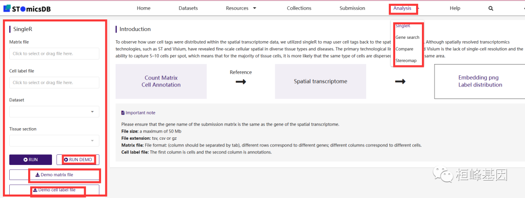 SCS【30】单细胞空间转录组学数据库(STOmics DB)-CSDN博客