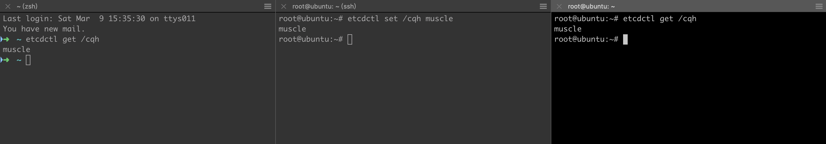 搭建和使用etcd_etcd listen-client-urls-CSDN博客
