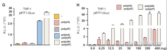 【综述】THP-1人急性单核白血病细胞最新研究进展_thp1 诱导极化 时间-CSDN博客
