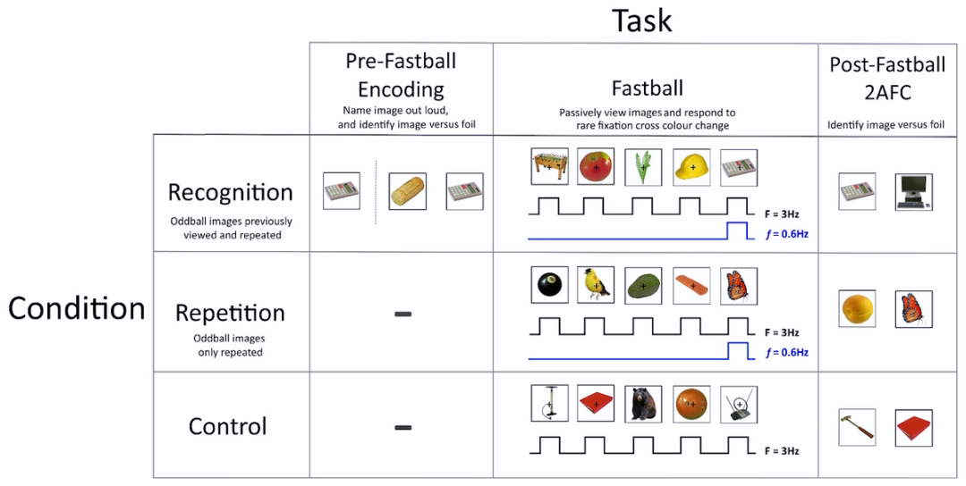 研究者设计了Fastball任务早期诊断阿尔茨海默病-CSDN博客