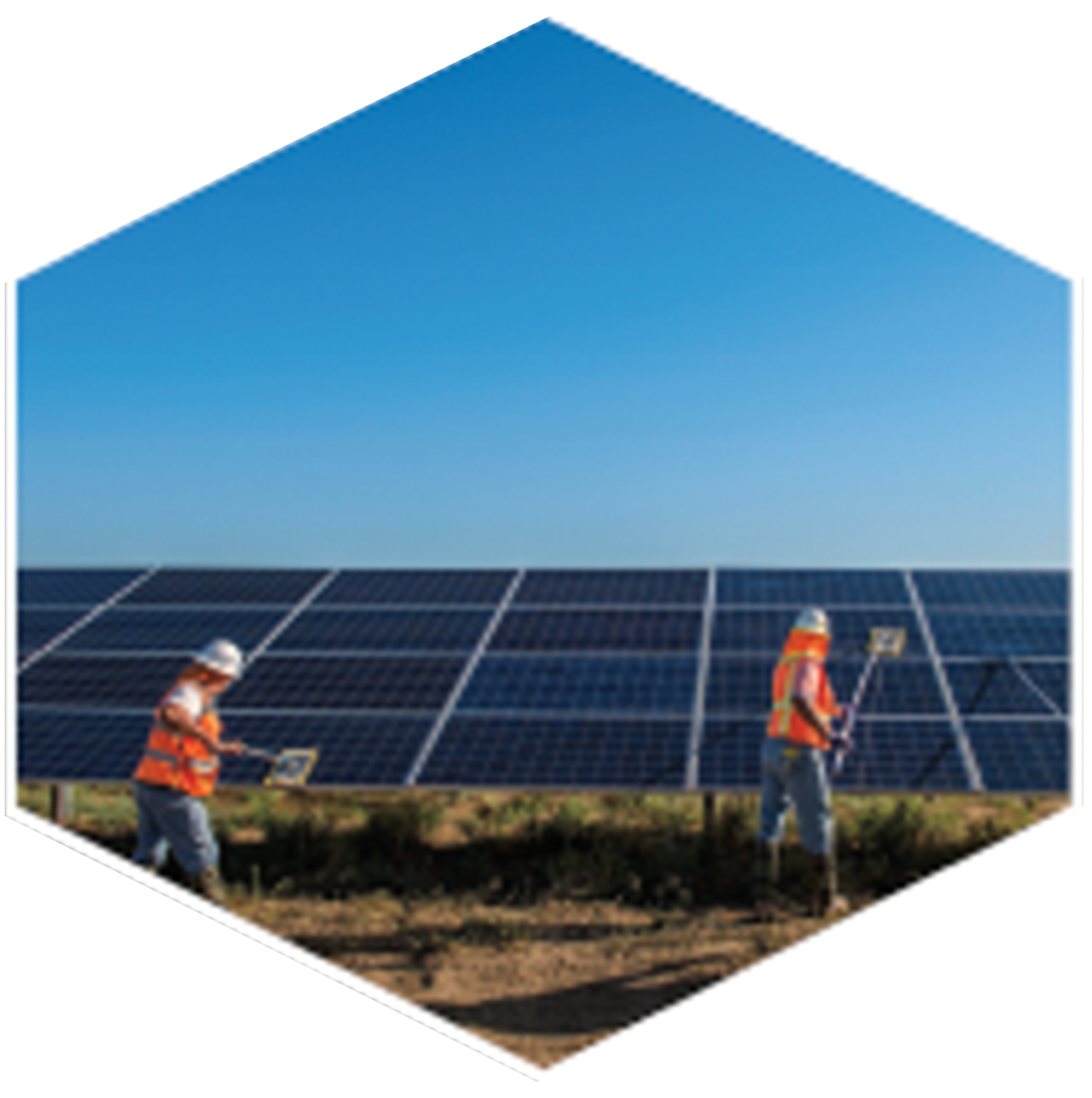 微软行星云计算Planetary Computer——利用Marxan进行空间保护规划_此星光明2021年博客之星云计算Top3的博客-CSDN博客