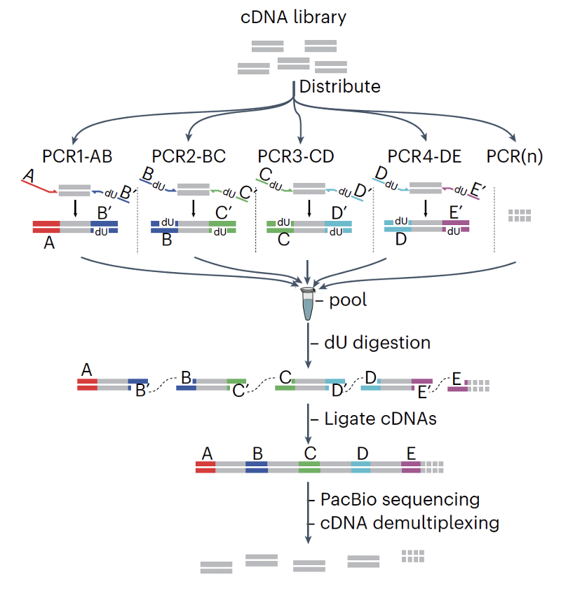 Nat Biotechnol｜MAS-Seq 方法学获生物科技领域权威期刊肯定-CSDN博客
