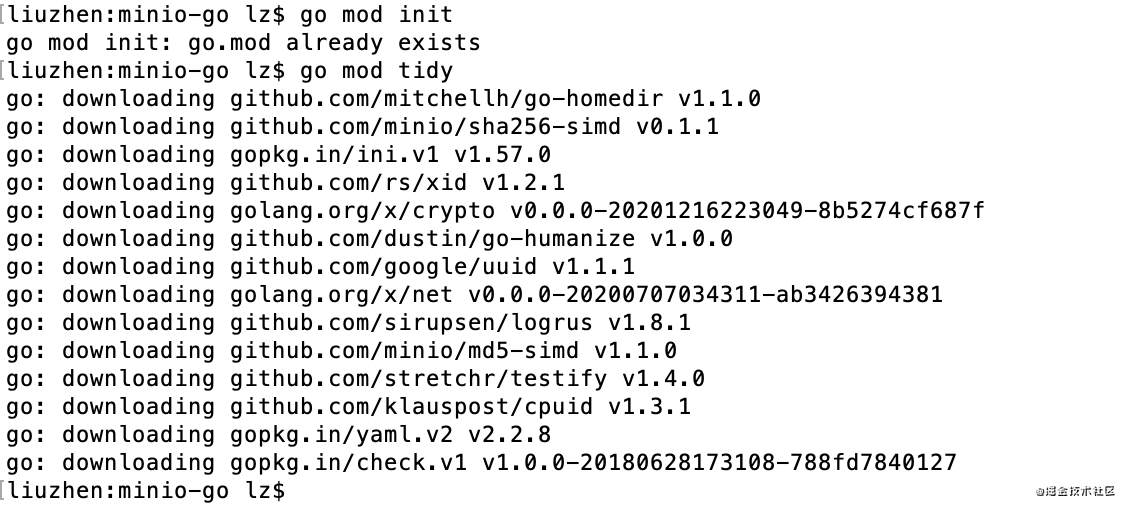 关于 go run 命令执行过程中的“坑坑点点”_go run 注意事项-CSDN博客