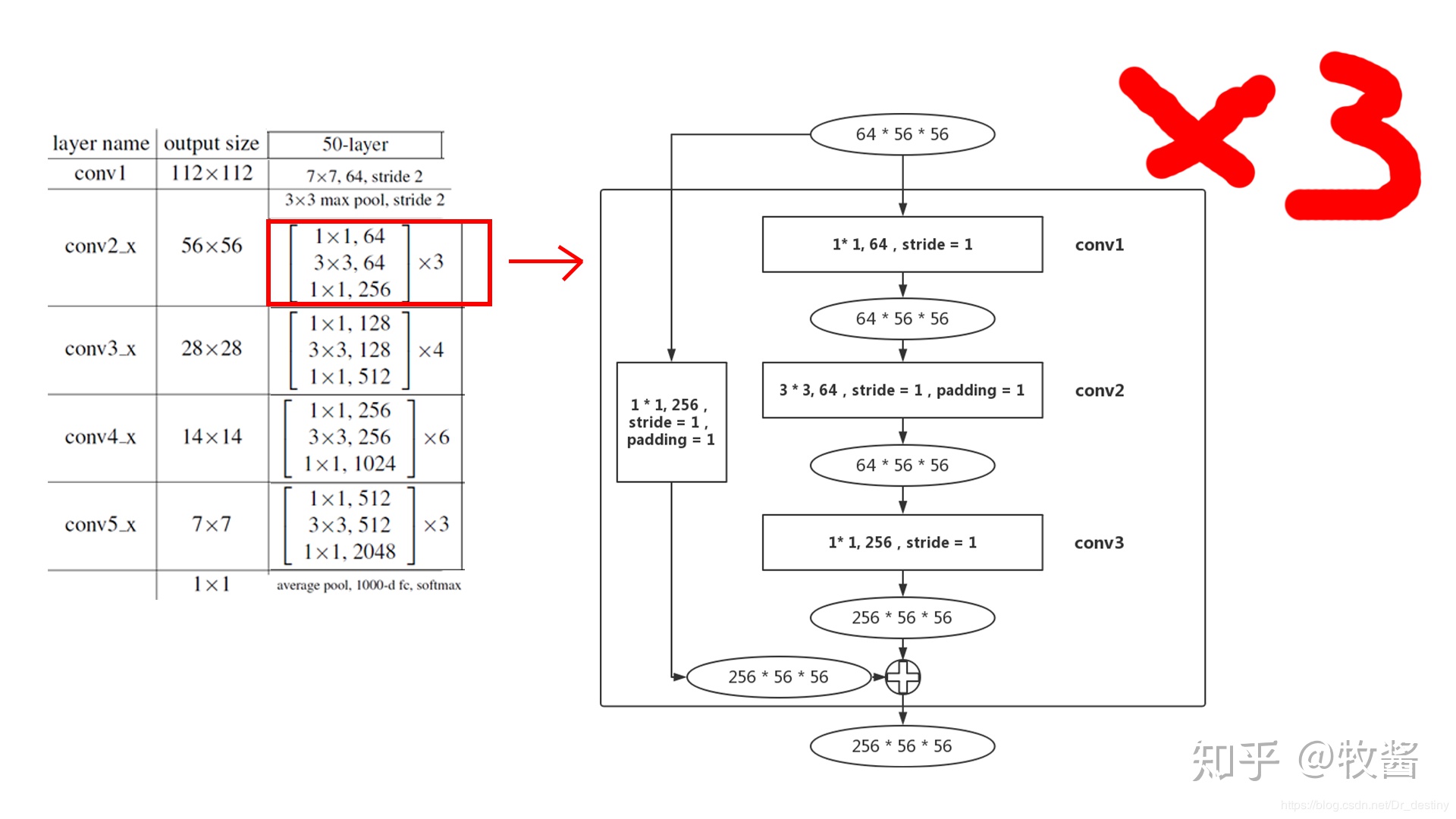 ResNet网络结构分析_resnet18和resnet34区别-CSDN博客
