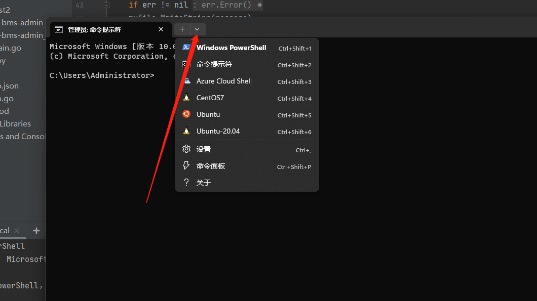 Windows WSL操作 Linux系统_wsl运行linux-CSDN博客