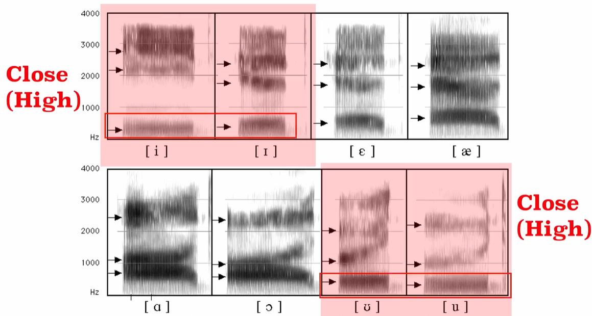 【课程】SP Module2 辅音和元音的声学_voice onset time-CSDN博客