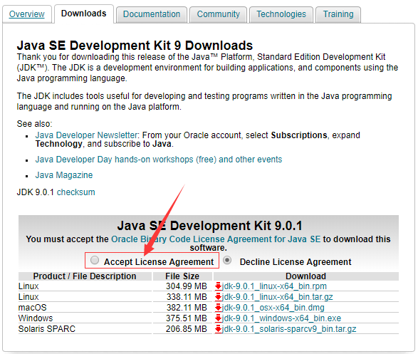 安装java9 安装不上_Windows安装JDK9_汪汪旺w的博客-CSDN博客