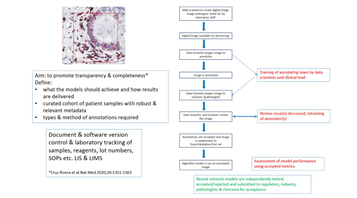 ISS空间转录组的细胞分割算法汇总(stardist、cellpose、QuPath、SCS)_python qupath-CSDN博客