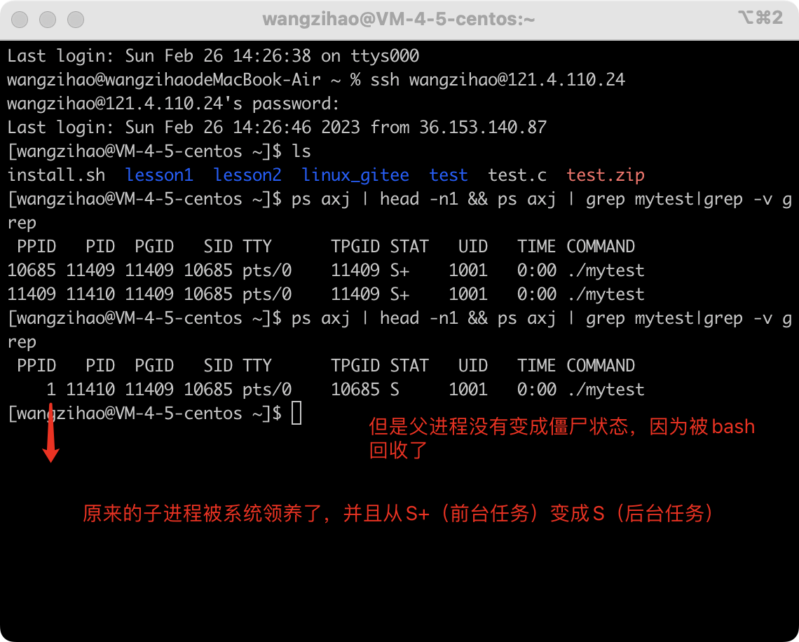 操作系统的进程状态windows 有僵尸进程吗 Csdn博客 