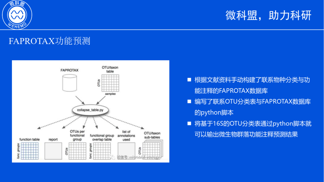 手把手教你用FAPROTAX和FUNGuild进行菌群功能预测分析-CSDN博客