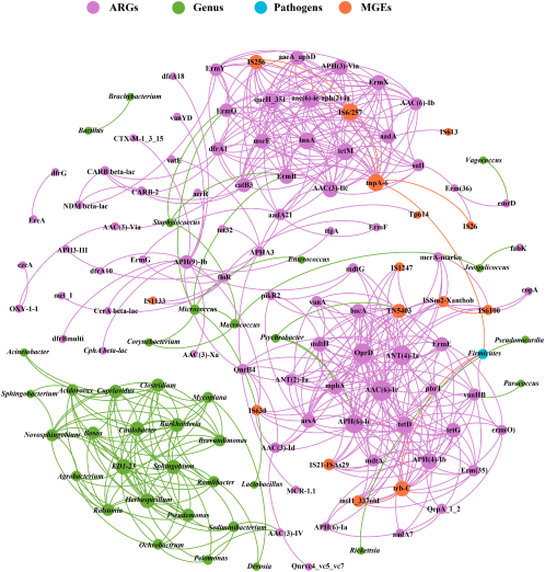一文读懂16S+高通量qPCR芯片联合分析思路！_16s qpcr-CSDN博客