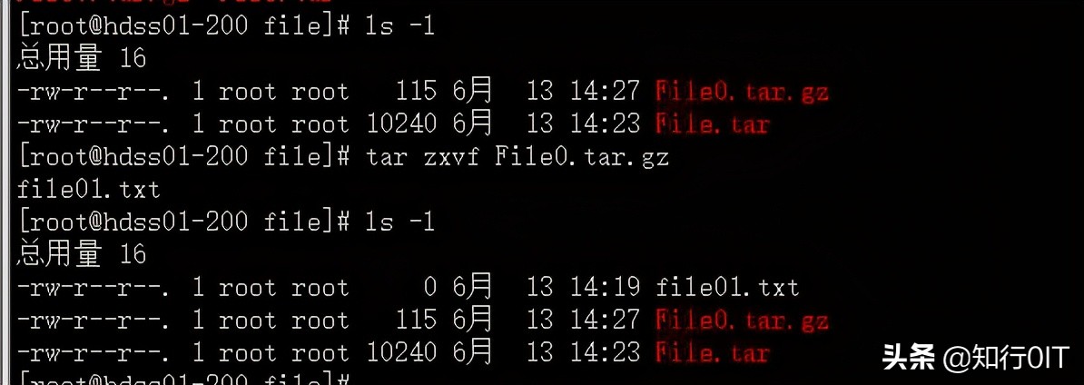 tar命令使用指南-CSDN博客