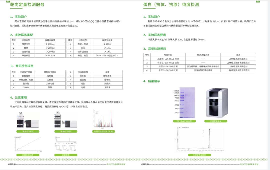 RIP实验步骤(RNA Immunoprecipitation)_input rna_avareart的博客-CSDN博客