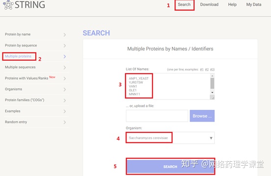 string 包含_STRING数据库在网络药理学研究中的应用详解-CSDN博客