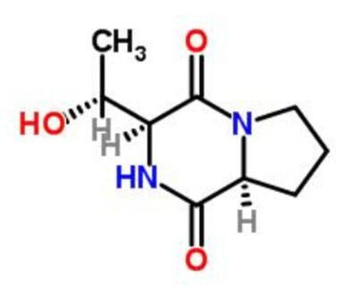 环肽试剂：cyclo(Pro-Thr)，227777-31-3，环(L-脯氨酸-L-苏氨酸)，含有脯氨酸和苏氨酸苏氨酸-CSDN博客