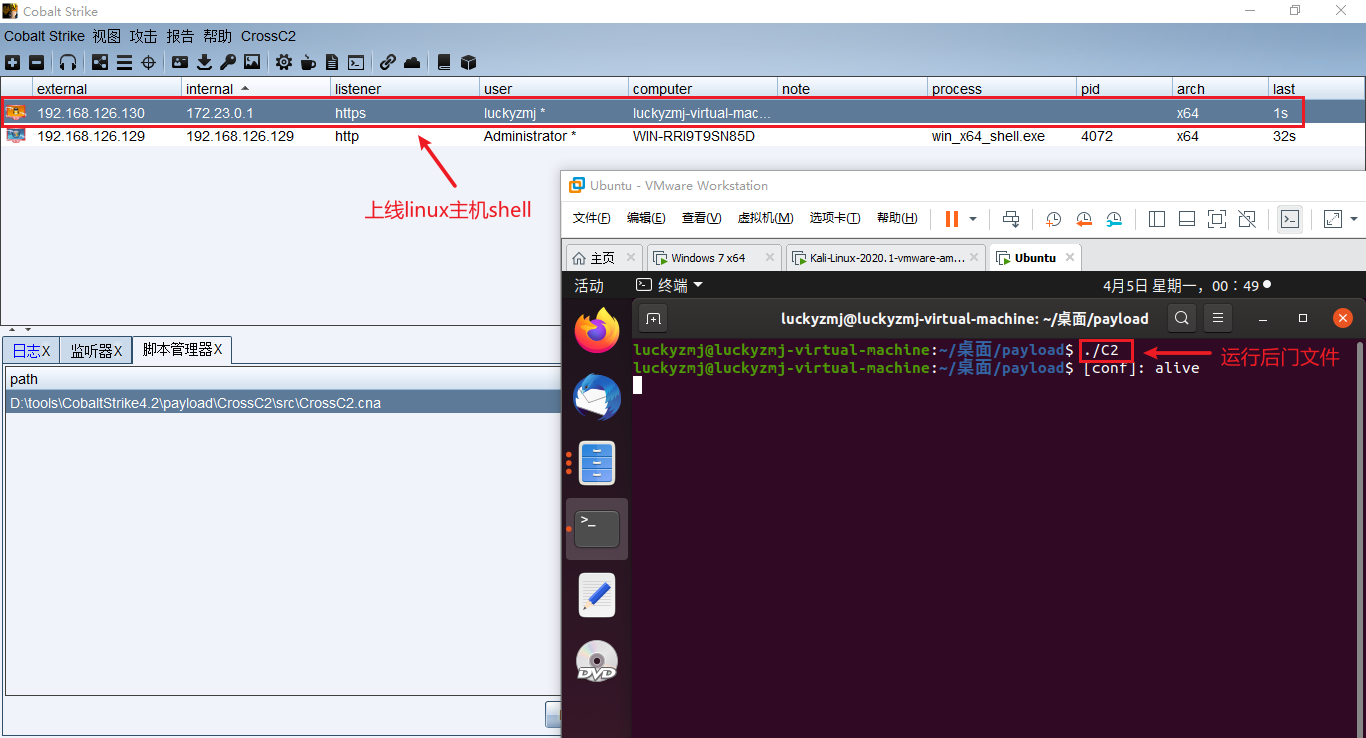 Cobaltstrike上线windows&linux主机shell_cobalt strike 监听器-CSDN博客