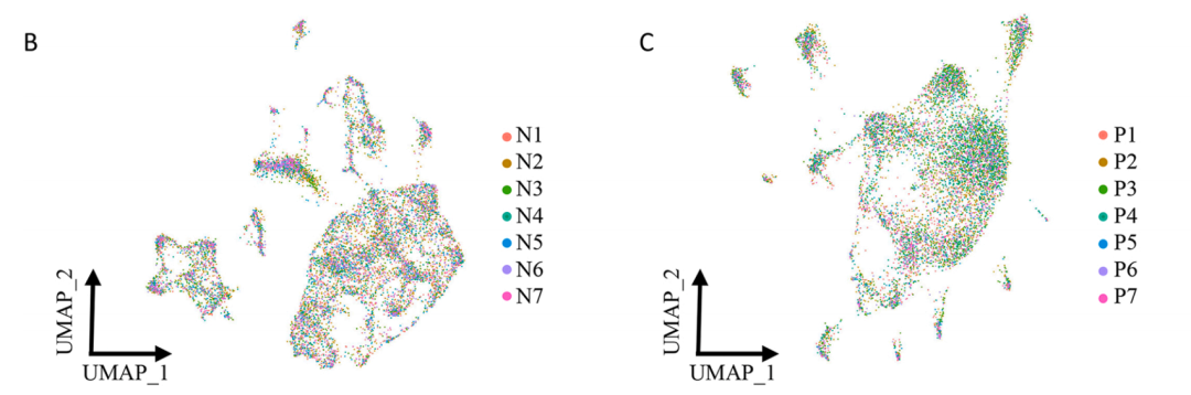 snRNA-seq vs scRNA-seq谁更nice，用数据说话_scrna snrna-CSDN博客
