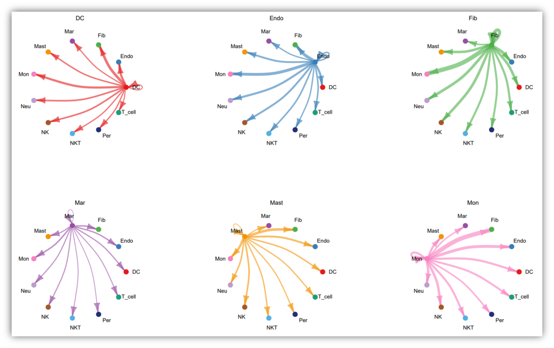 一文解决Cellphonedb单细胞互作分析及可视化作图（2）-EW帮帮网