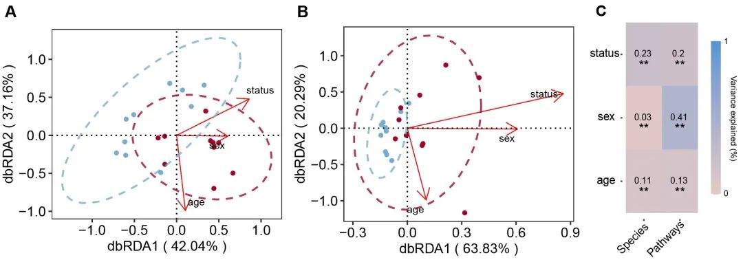 MicrobiomeStatPlot | 冗余分析教程dbRDA analysis-CSDN博客