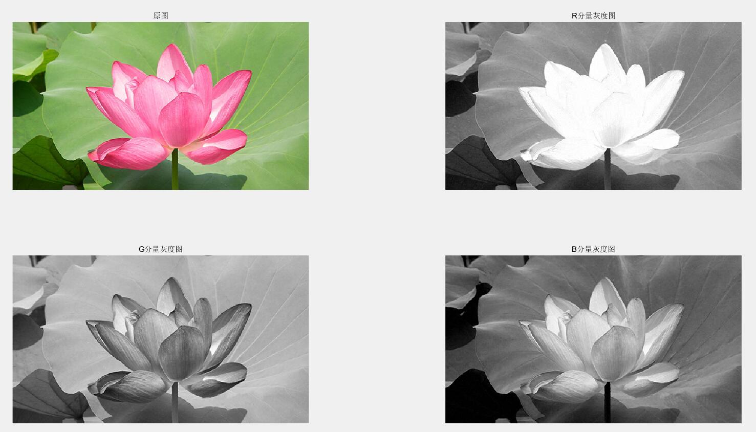 Matlab转化为grayfpga实现图像灰度转换(1):rgb分量转gray慕栗子的博客 Csdn博客 2821