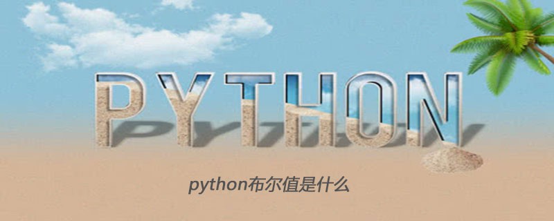 Python布尔值解释及用途 Csdn博客 
