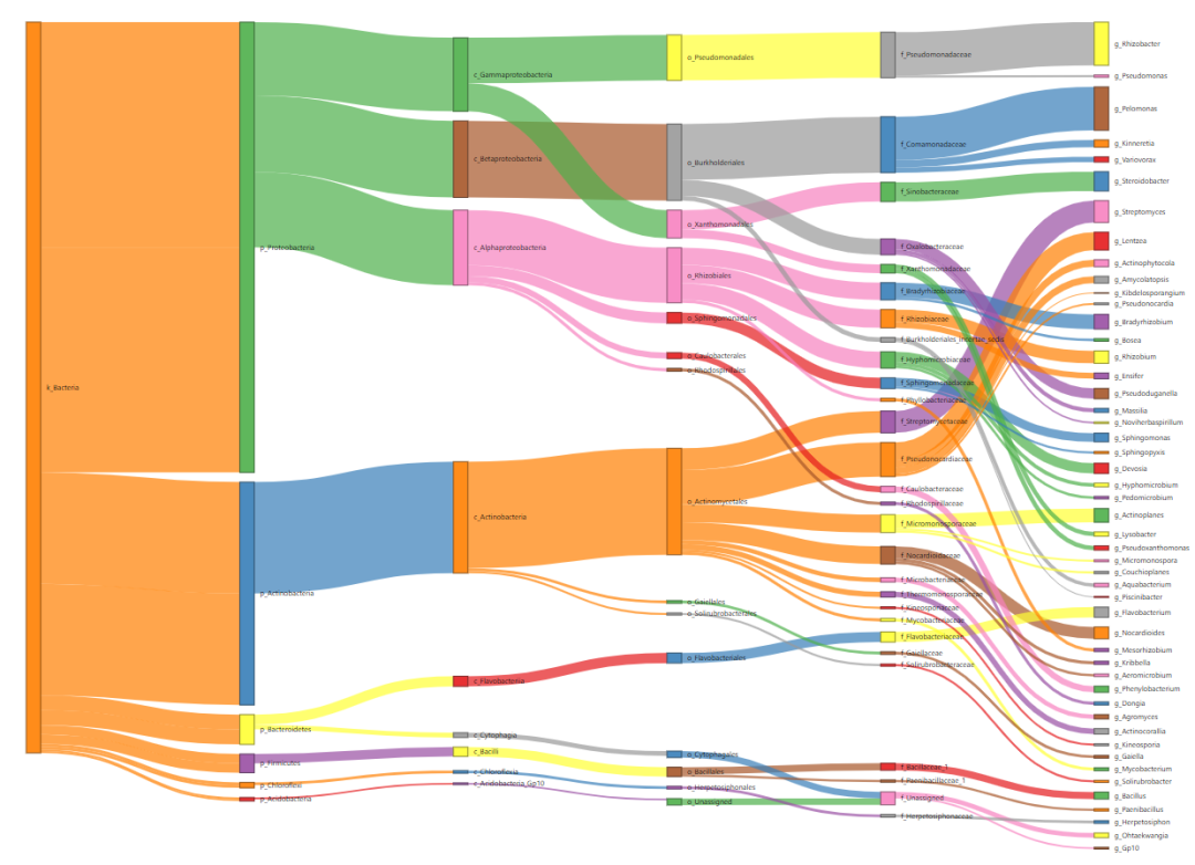 一条代码带大家绘制交互式+pdf+png等多格式桑基美图-CSDN博客