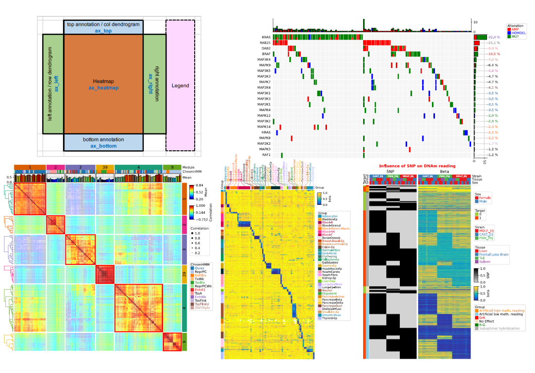 iMeta | 丁武斌等开发可视化多维度数据复杂热图python包PyComplexHeatmap-CSDN博客