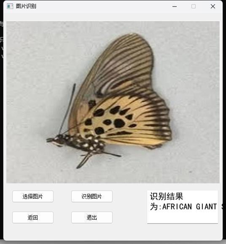 通过python和CNN识别蝴蝶类别-含数据集+pyqt界面-CSDN博客