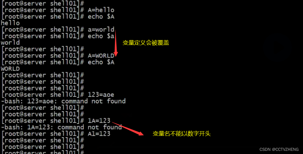 Shell脚本中的变量shell读取指定环境变量 Csdn博客 