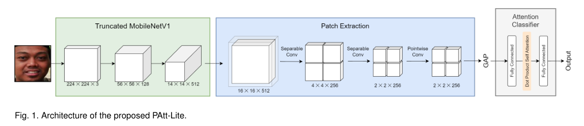 人脸表情识别：PAtt-Lite: Lightweight Patch and Attention MobileNet for Challenging Facial Expression ...