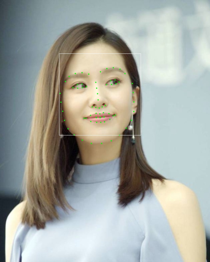 matlab使用dlib,dlib(C++)人脸关键点检测 for Linux/Mac-CSDN博客