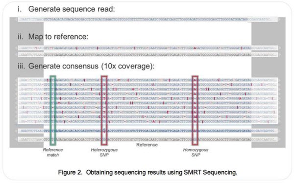 如何理解PacBio的准确度？_测序consensus reading-CSDN博客