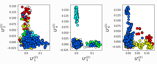 蛋白质统计偶联分析（Statistical coupling analysis，SCA）---模块一报错问题解决-CSDN博客