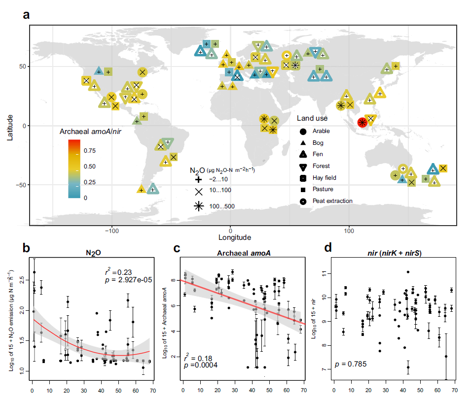 NC | 土壤微生物组的结构和功能揭示全球湿地N2O释放-CSDN博客
