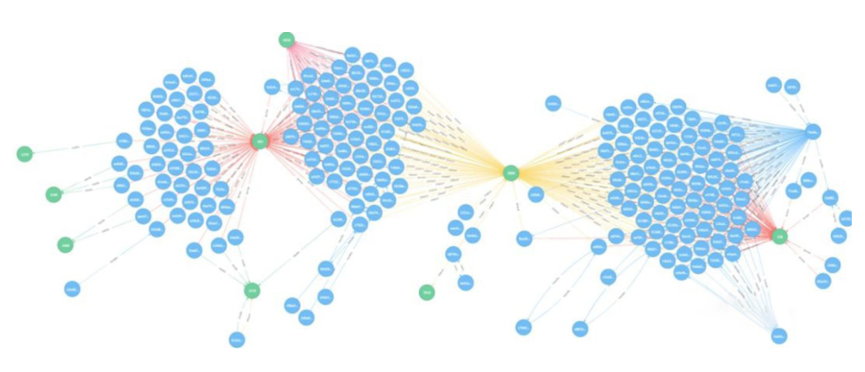 01-图数据库 Nebula Graph 简介-CSDN博客