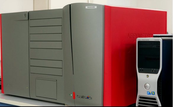 kasp技术优点_【华智技术贴】分子标记技术及育种应用（下）：基于测序技术的第三代分子标记..._weixin_39963255的博客-CSDN博客