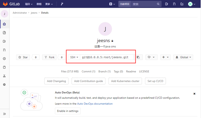 Jenkins+Maven+Gitlab+Nexus持续集成环境搭建_gtilab-runner集成nexus-CSDN博客