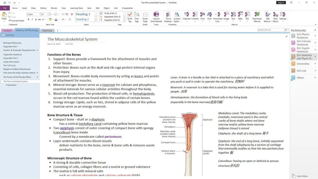 onenote 模板_可能是PC端最好用的笔记软件——Onenote（转字小黑盒）_weixin_39872395的博客-CSDN博客