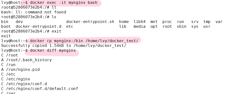 [Docker#7] 容器 | OOM | 常用命令 | 交互模式 | 批量处理_docker oom-CSDN博客