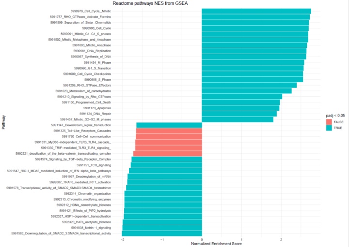 gsea富集分析结果怎么看_基因集富集分析(Gene Set Enrichment Analysis, GSEA）-CSDN博客