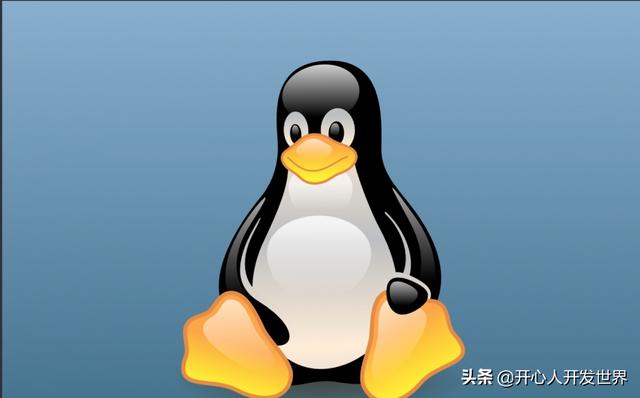 Linux Open 头文件编写一个简单的linux内核模块 Csdn博客