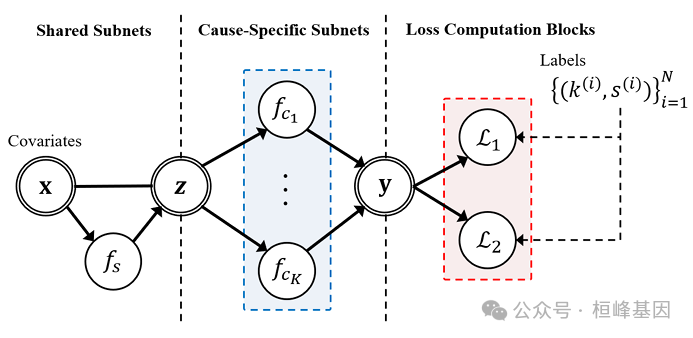 MachineLearning 34. 机器学习之竞争风险生存分析的深度学习方法(DeepHit)-CSDN博客