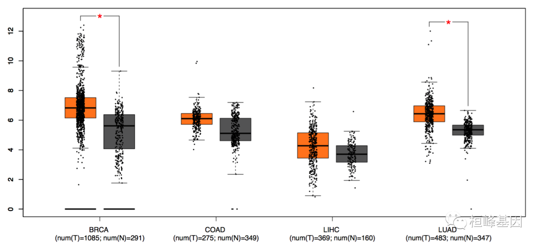 RNA 30. SCI文章中基于TCGA和GTEx数据挖掘神器（GEPIA2）-CSDN博客