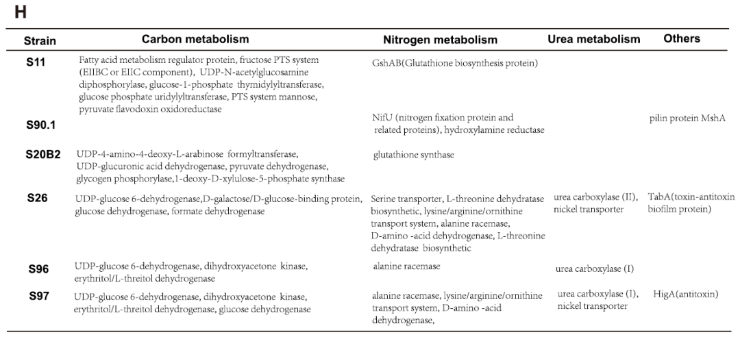 Microbiome | 中国农科院王加启/赵圣国构建微球原位培养方法实现牛瘤胃重要尿素分解菌分离...-CSDN博客