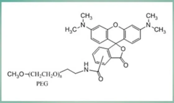 mPEG-Rhodamine，mPEG-RB，一种常用生物分子标记物，线性单功能PEG试剂-CSDN博客